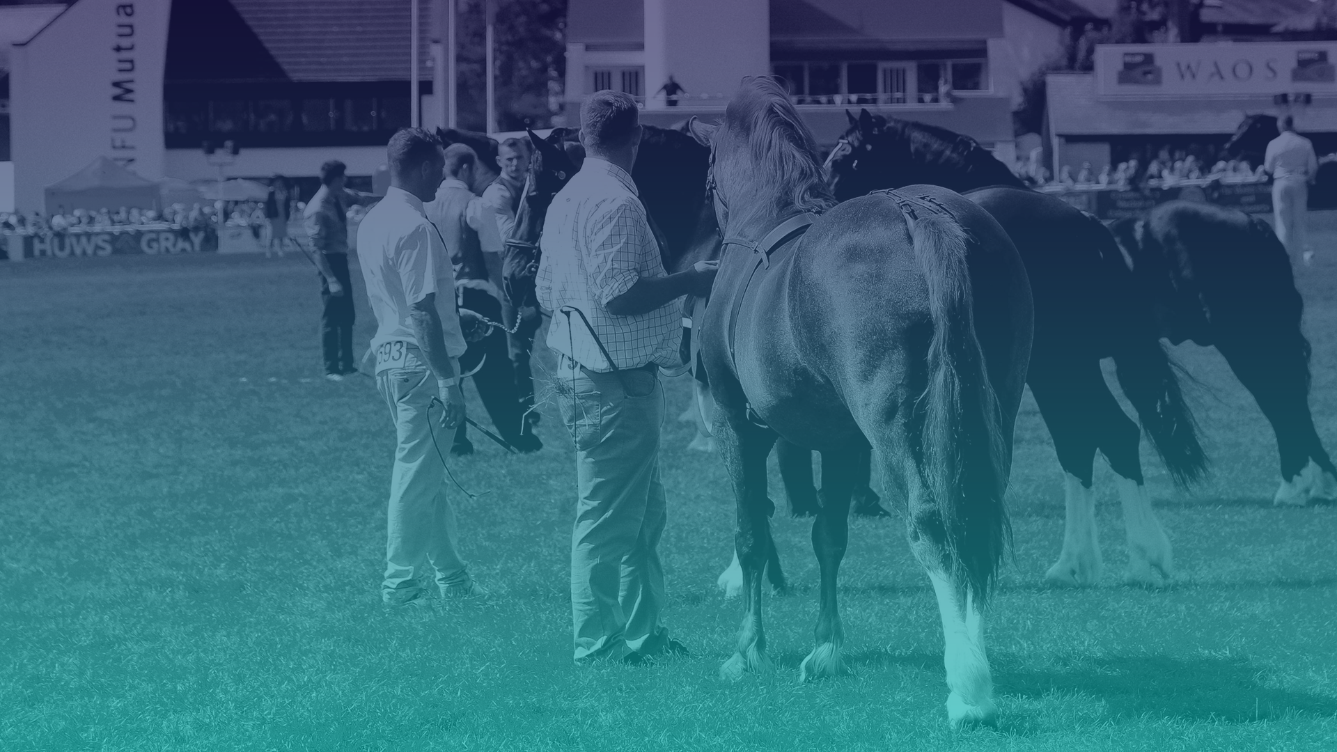 Royal Welsh Show 2023